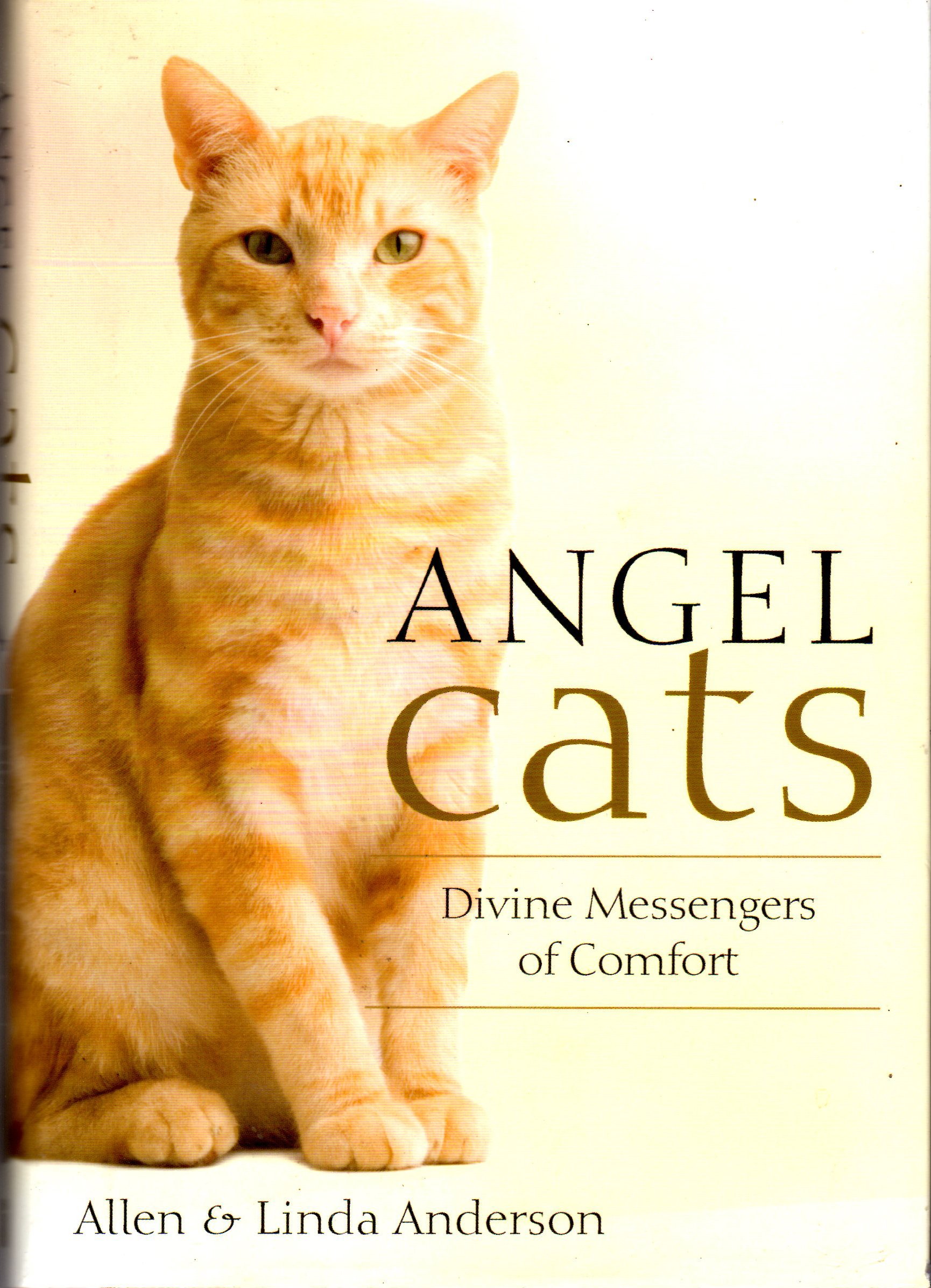 Angel Cats: Divine Messengers of Comfort: Anderson, Allen;Anderson ...