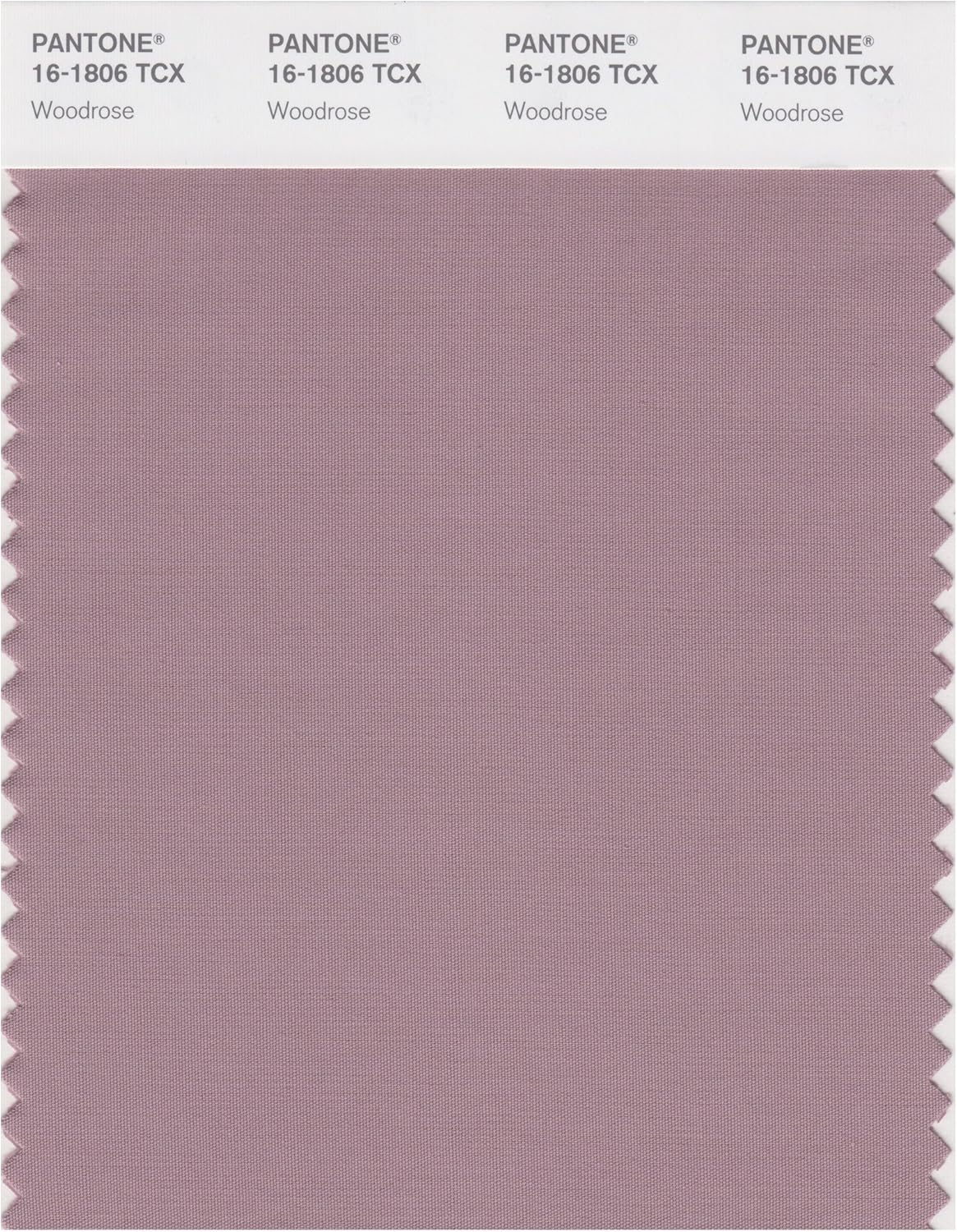 PANTONE Smart 16-1806X Color Swatch Card, Woodrose - Wall Decor ...