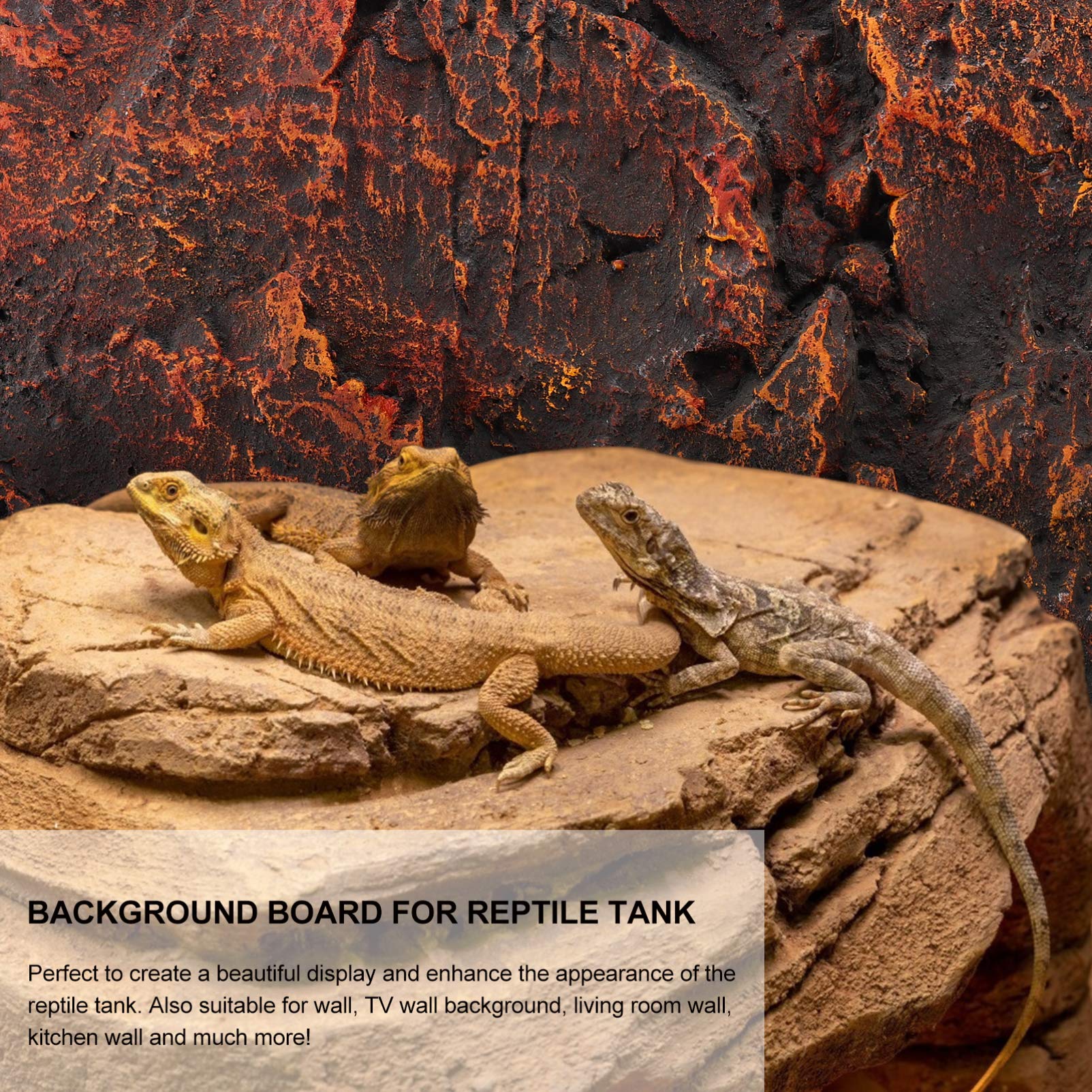 Bearded Dragon Background Reptile Tank Background Board Rock Terrarium ...