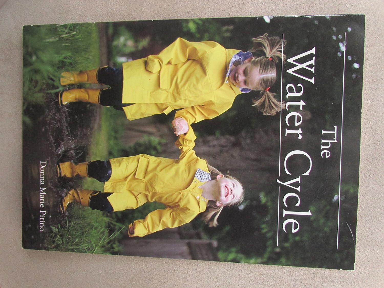 The Water Cycle: Amazon.co.uk: 9780766420748: Books