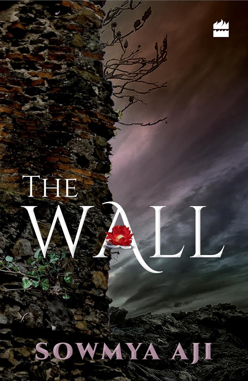 The Wall Kindle Edition By Aji Sowmya Literature And Fiction Kindle Ebooks