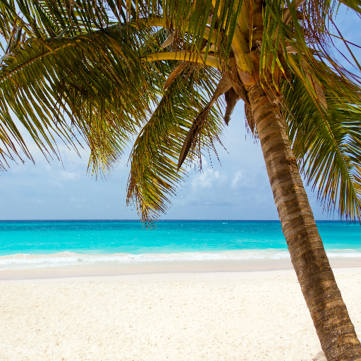 Beach Wallpapers:www.amazon.com:Appstore for Android