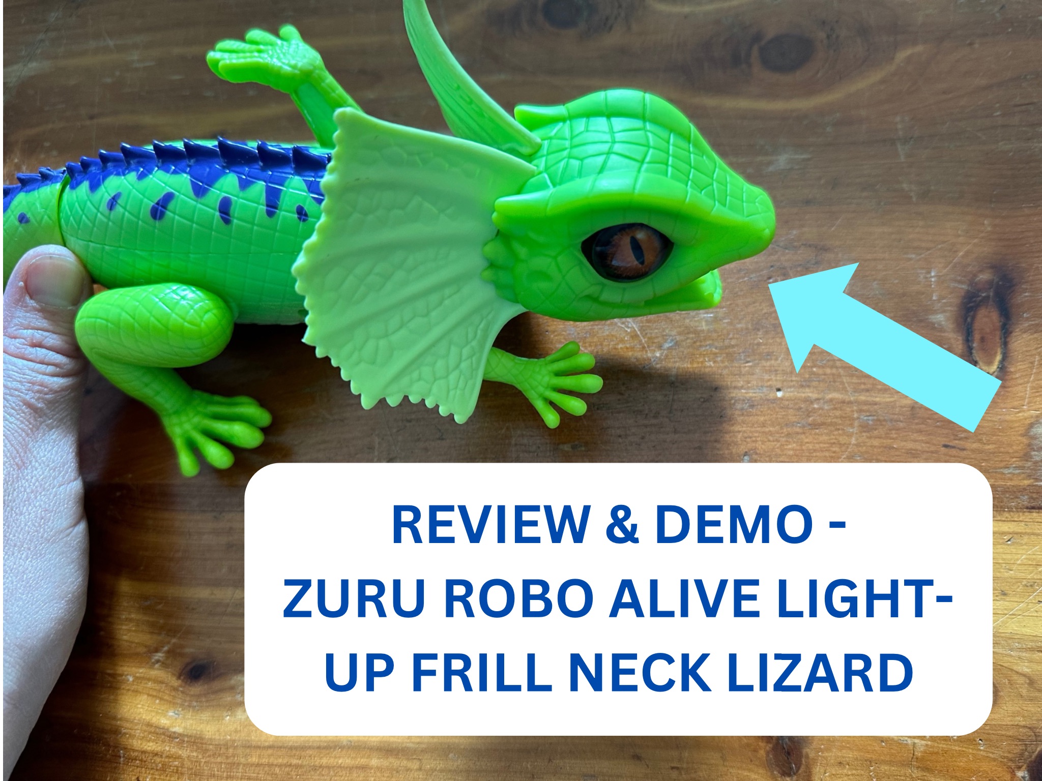 Watch Honest Review - Zuru Robo Alive Light-Up Frill Neck Lizard on ...