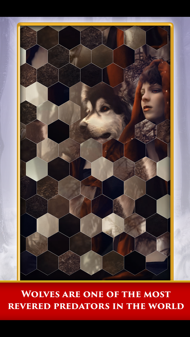 Hidden Scenes - Free Beautiful Wolves Puzzle Game - App on Amazon Appstore
