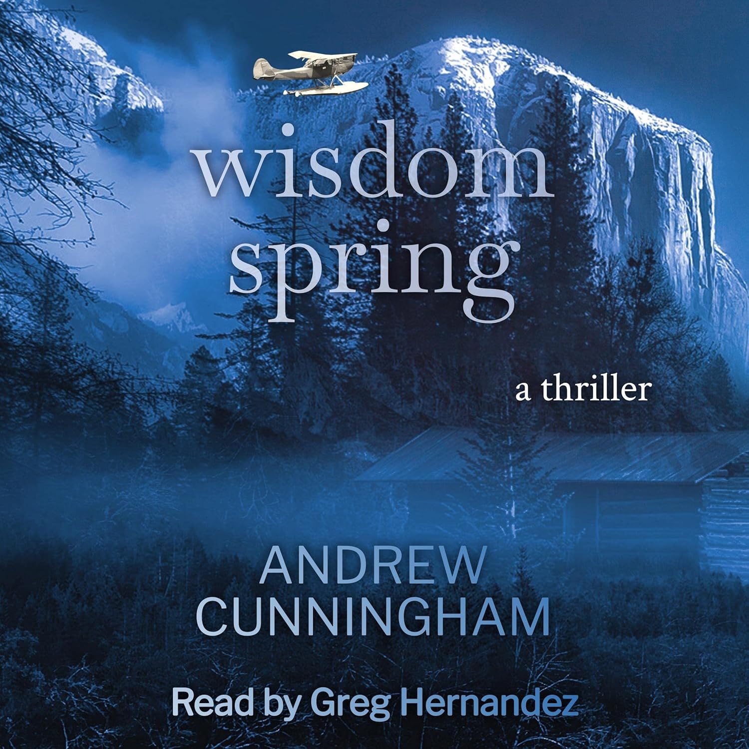 Amazon.com: Wisdom Spring (Audible Audio Edition): Andrew Cunningham ...