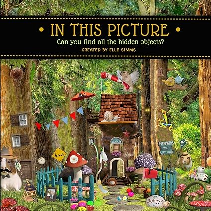 In This Picture: Can you find all the hidden objects?: Simms, Elle ...