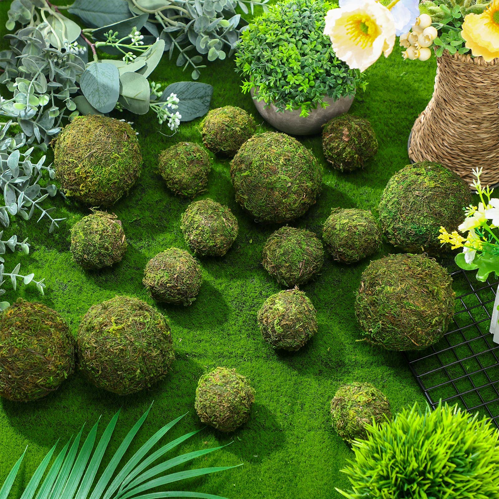 Fabbay 60 Pcs Moss Balls Decorative, Including 36 Pcs 1.97 Inch Natural ...
