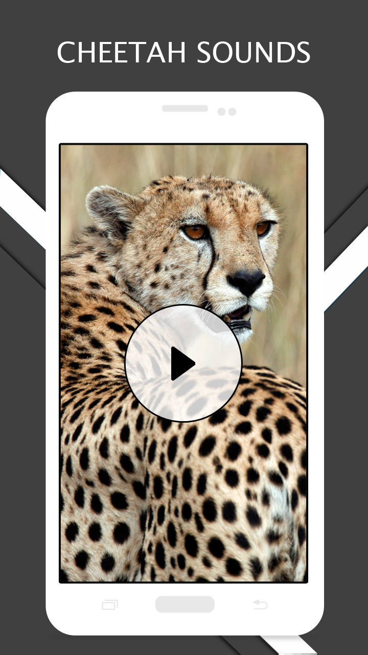 Cheetah Sound - App on Amazon Appstore