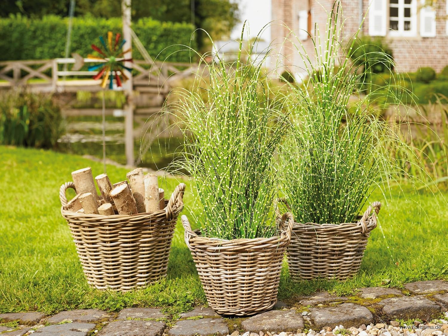 Künstliche Pflanzen - Dekogras im schwarzen Topf - Grün & Gelb Gefleckt ...