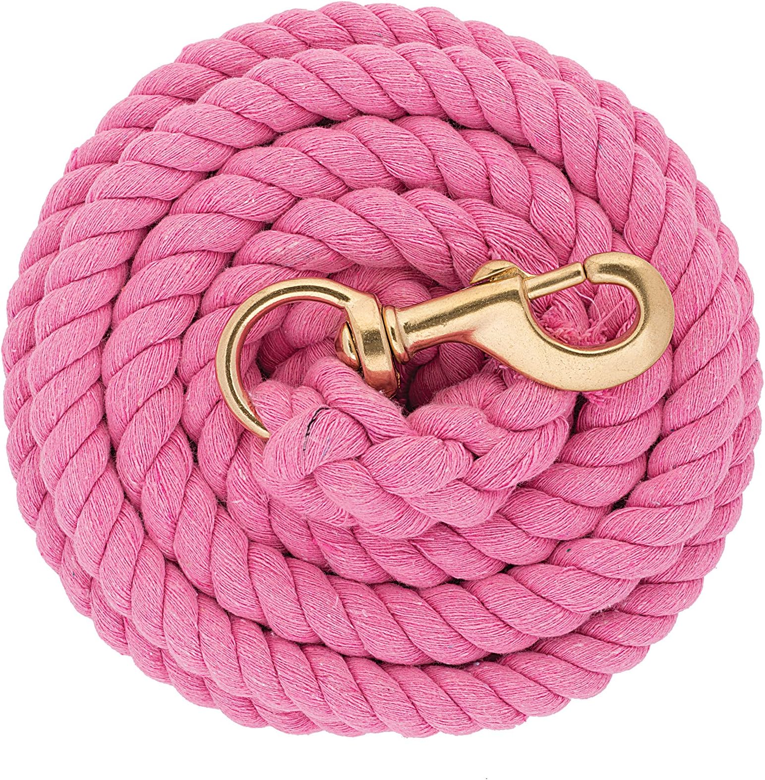 Amazon.com: Basic Poly Lead Rope with Chain Black : Sports & Outdoors