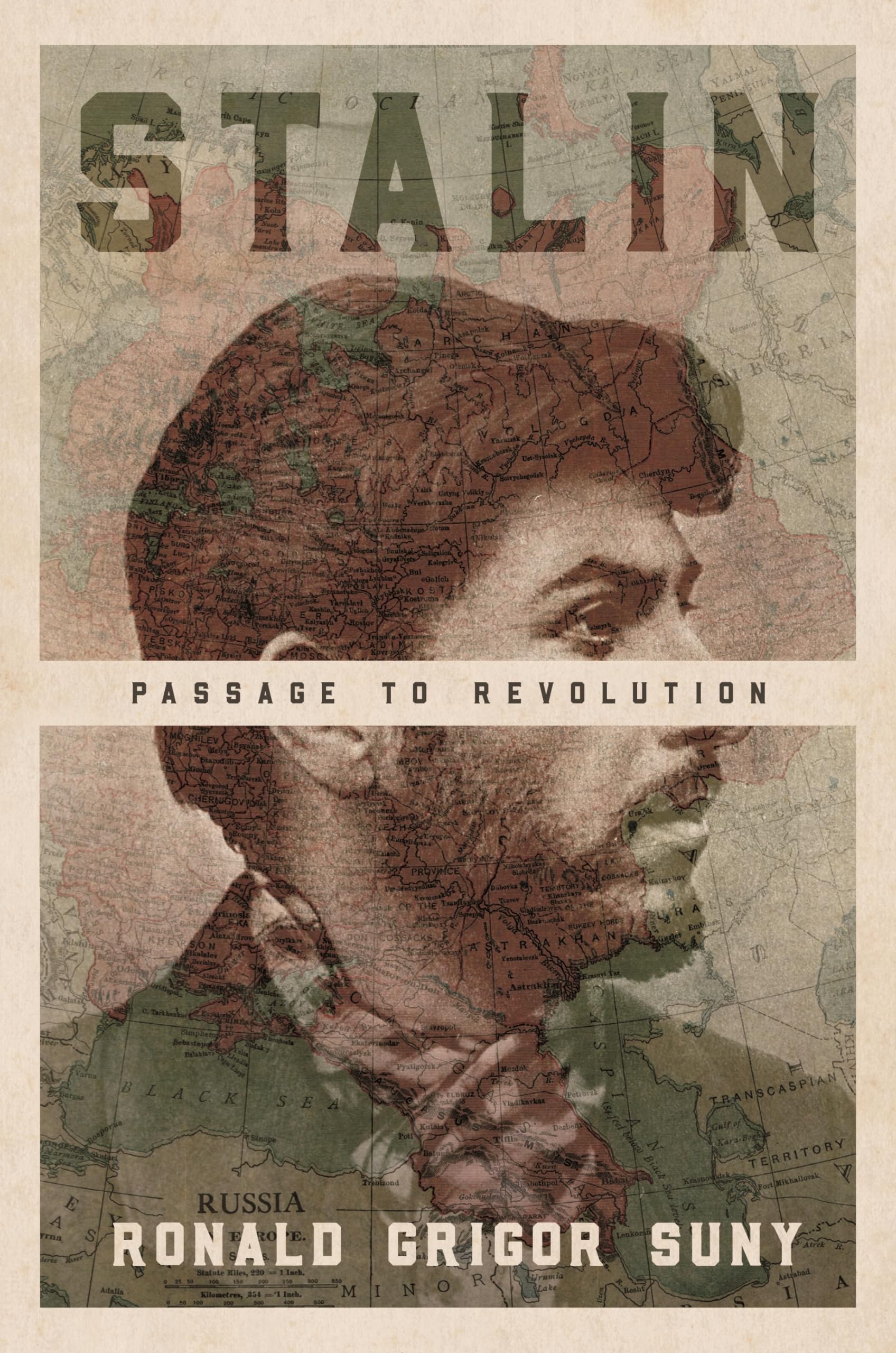 Stalin: Passage to Revolution: Suny, Ronald Grigor: 9780691202716 ...