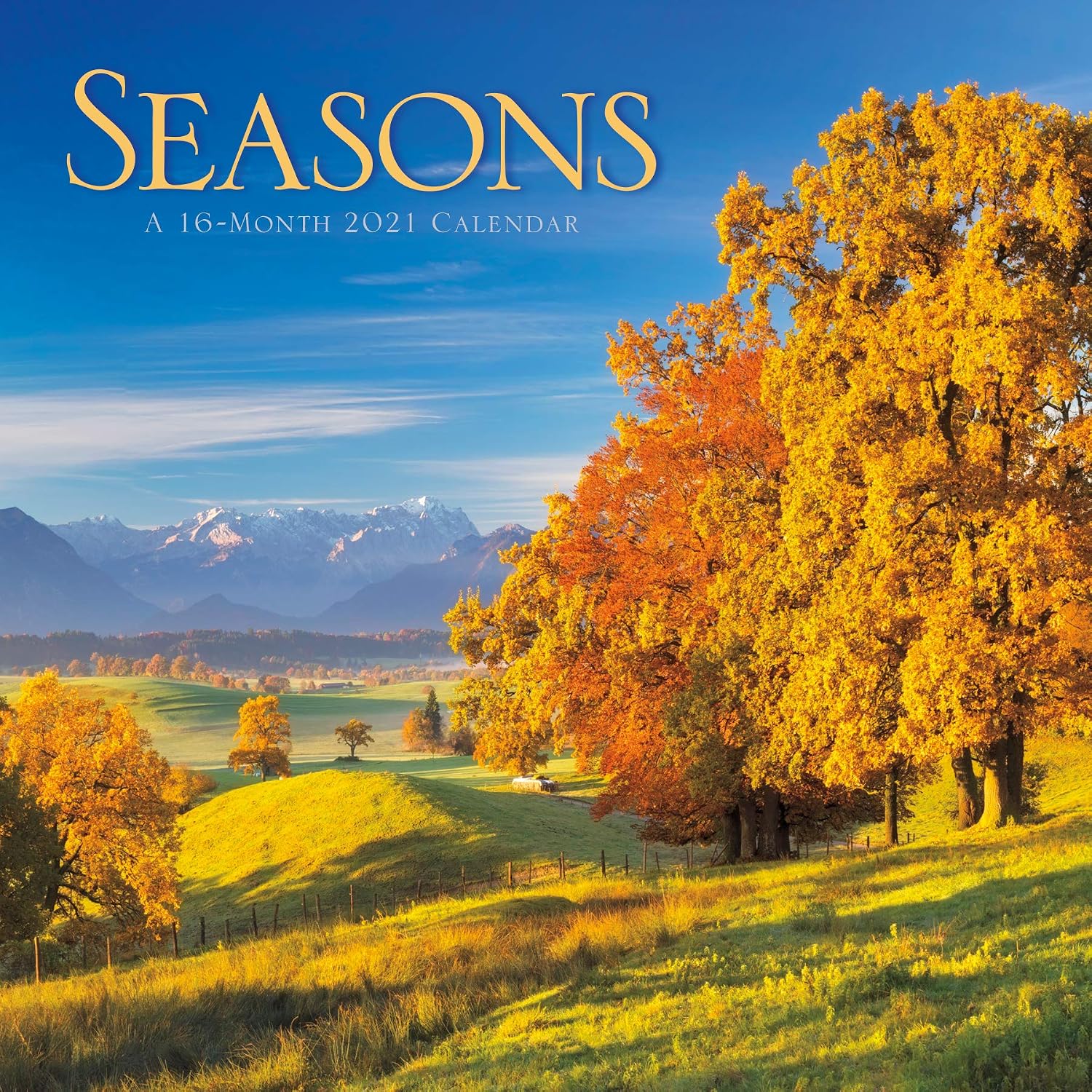 Amazon.com: Trends International 2021 Seasons Wall Calendar with Push ...