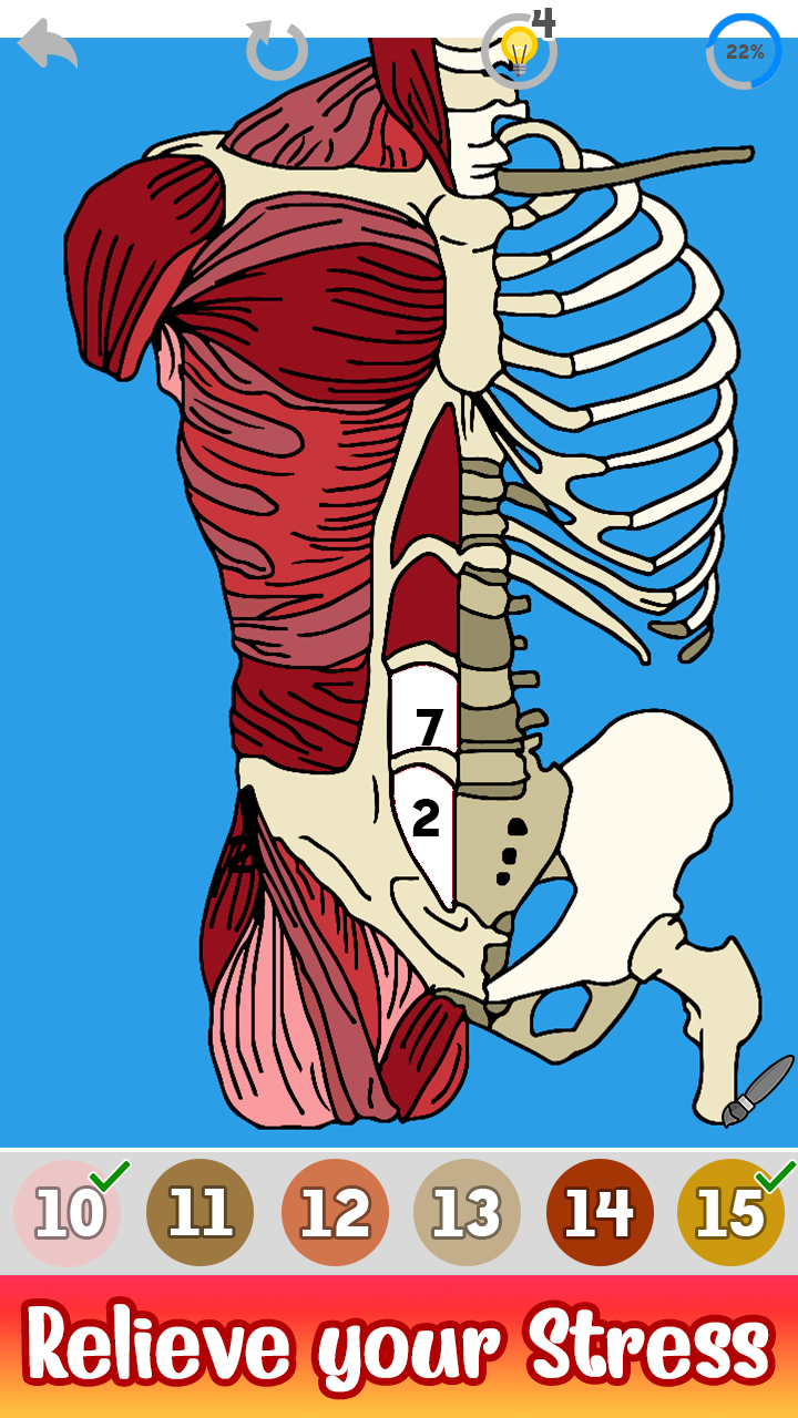 Human Body Color By Number Art - Anatomy Coloring Book:Amazon.com ...