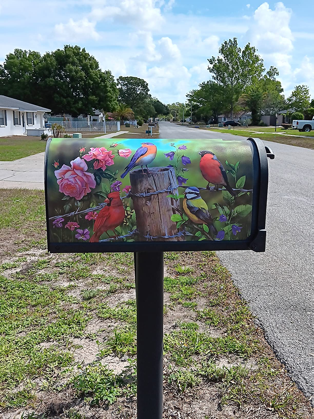Amazon.com: Briarwood Lane Fence Post Birds Spring Large Magnetic ...