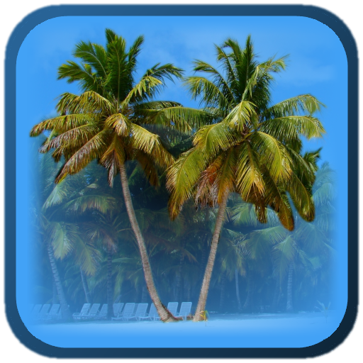 Sfondi HD: app su Amazon Appstore