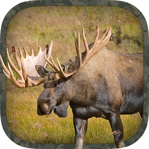 Moose Hunting Calls - App on Amazon Appstore