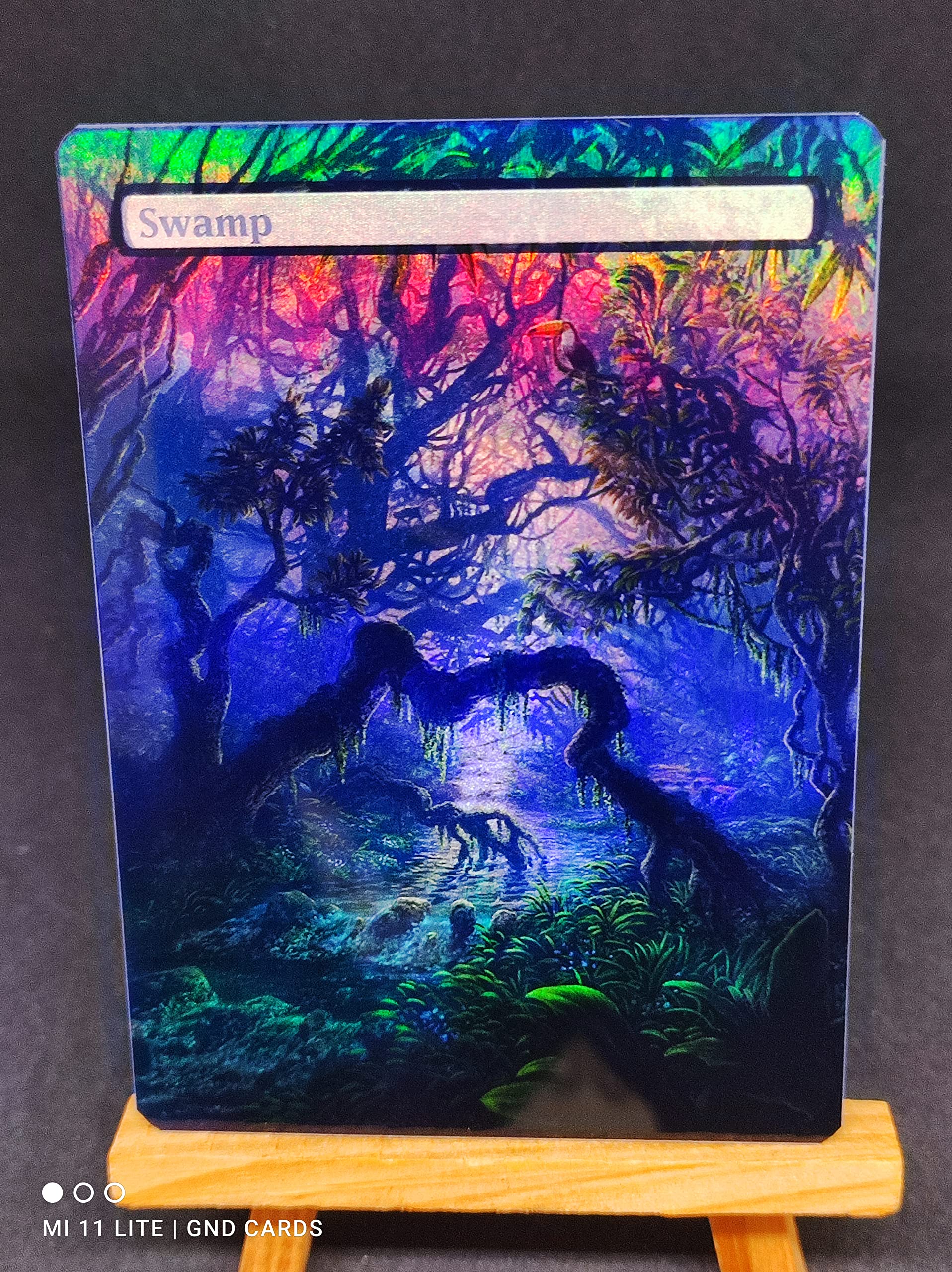 Magic The Gathering Land Art Swamp