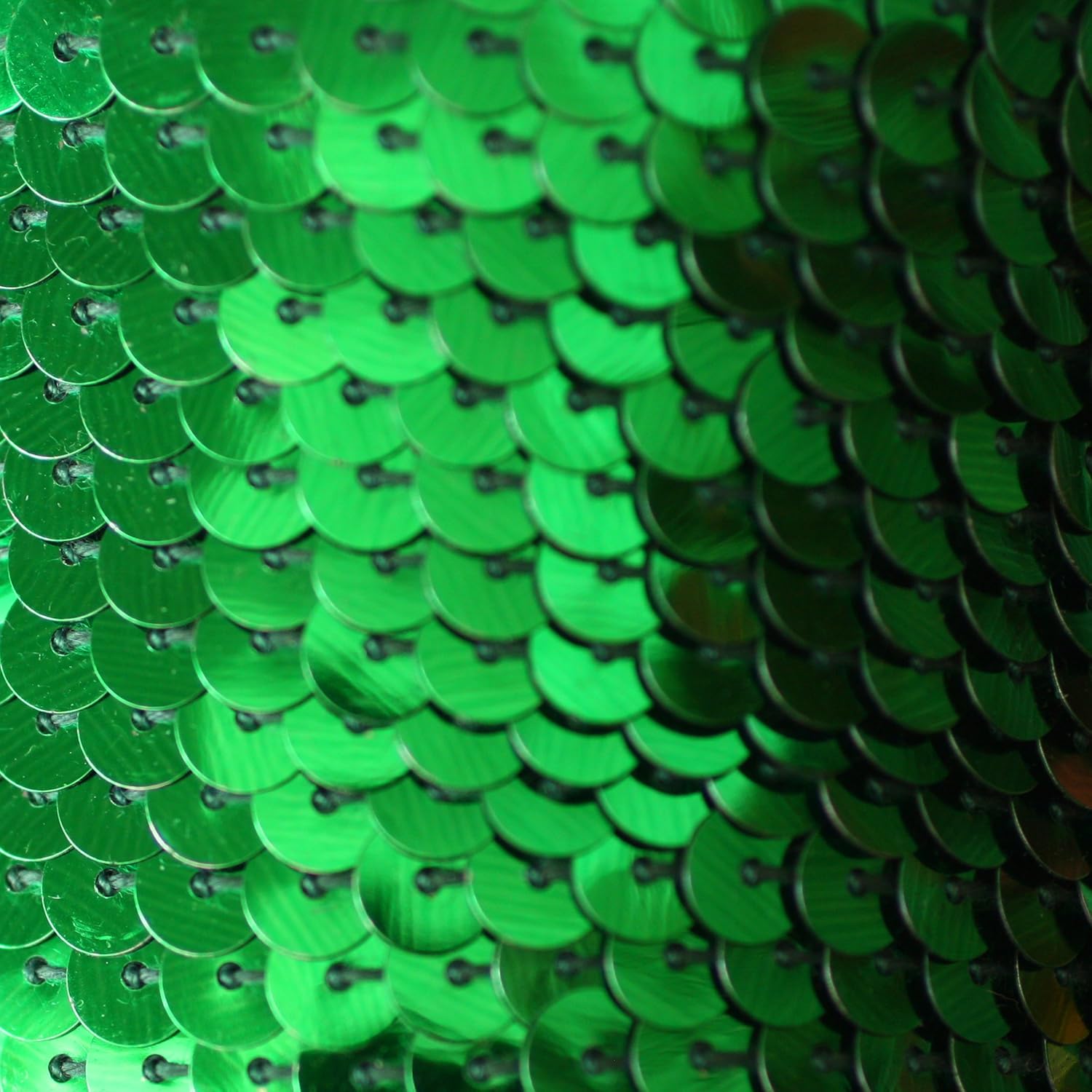 Amazon 6mm Flat Sequin String Trim Strung By The Yard Green Amazon 6mm Flat Sequin String Trim Strung By The Yard Green