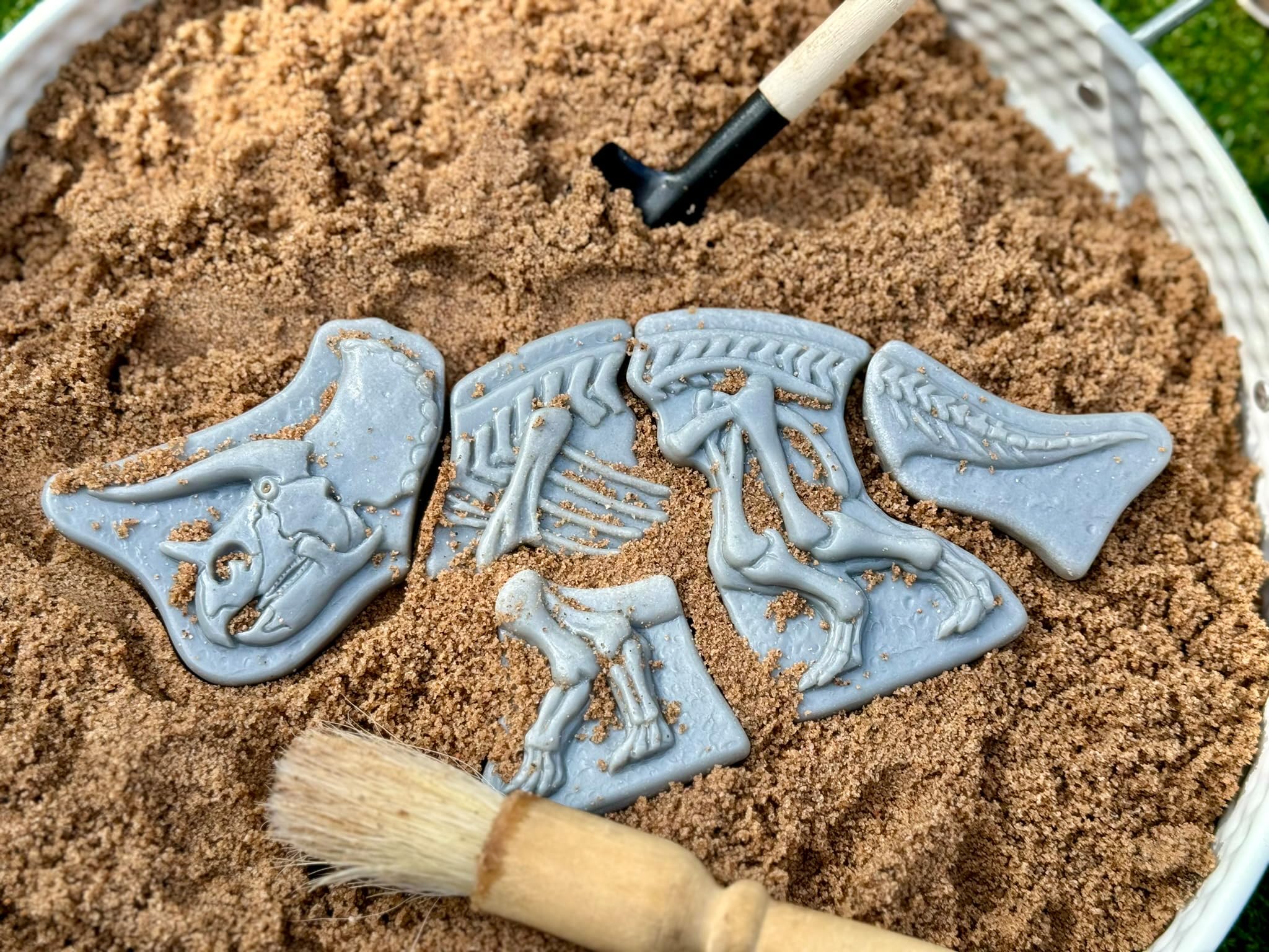 Yellow Door Dig and Discover – Triceratops & Spinosaurus |early ...