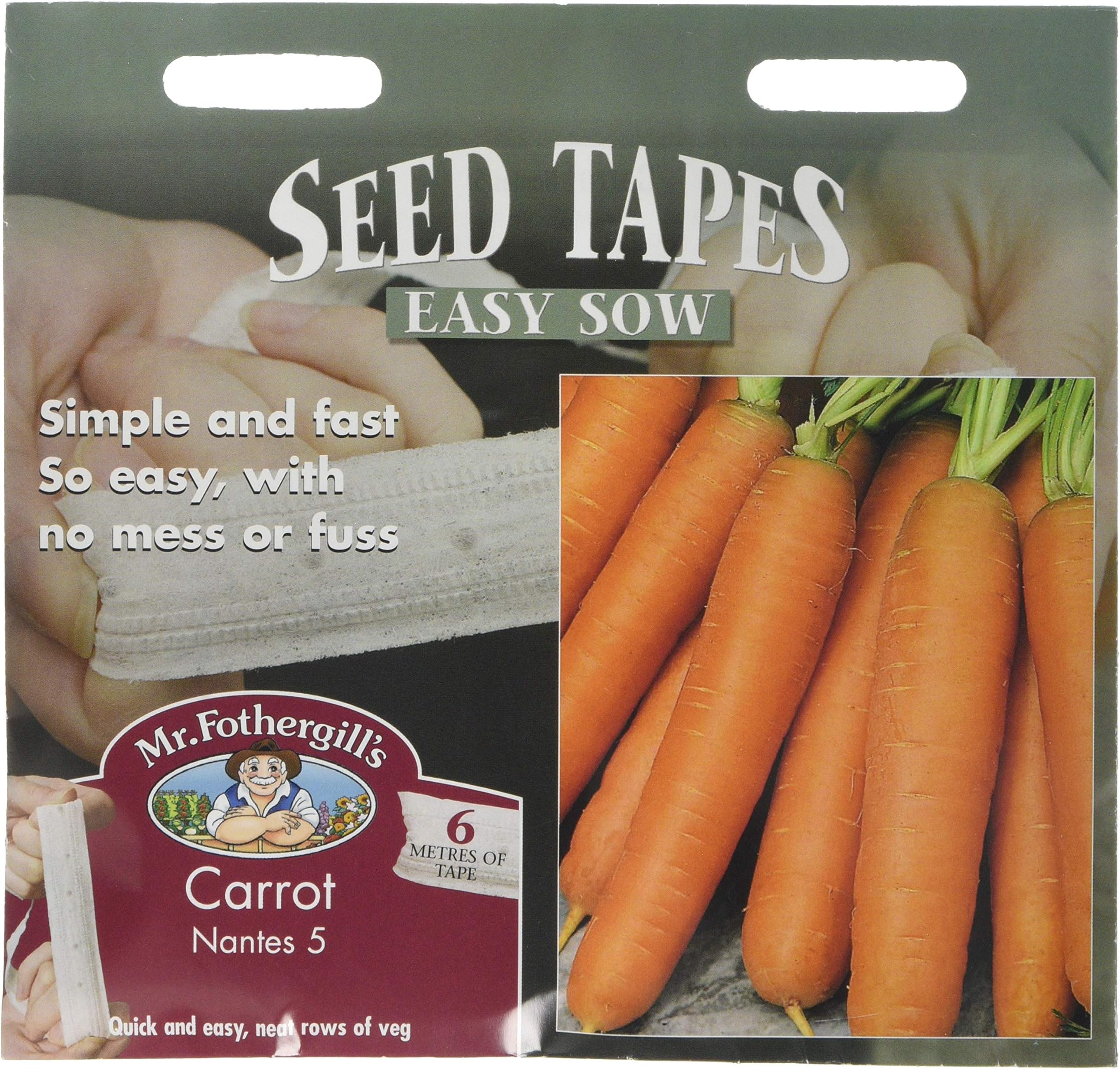 Mr Fothergill's 19069 Vegetable Seeds, Tape Carrot Nantes 5 : Amazon.co ...