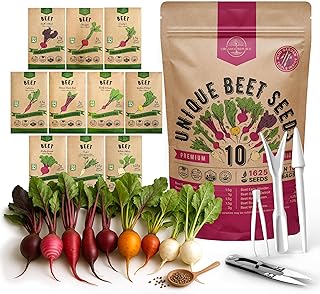 Spacing Guide: Planting Beets With Adequate Distance | ShunCy