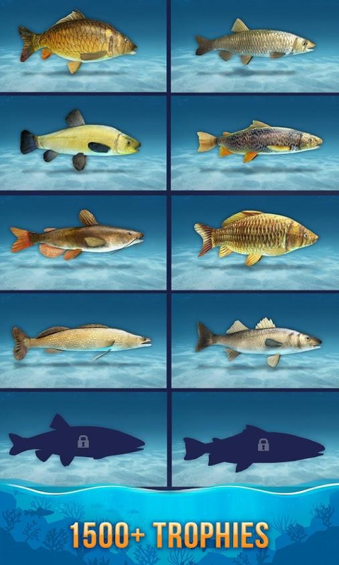 True Fisherman: SIMULATOR FISHING:Amazon.de:Appstore for Android
