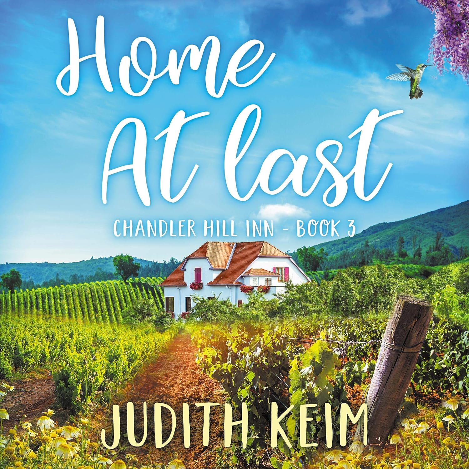 Amazon.com: Home at Last: Chandler Hill Inn Series, Book 3 (Audible ...