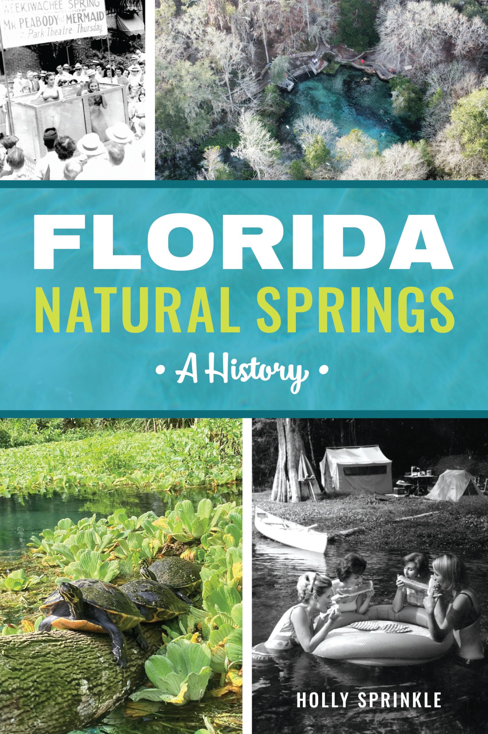 Florida Natural Springs: A History: Sprinkle, Holly: 9781467156974 ...