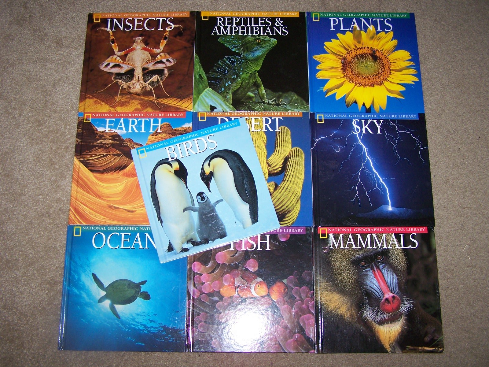 Insects (National Geographic Nature Library): Catherine Herbert Howell ...