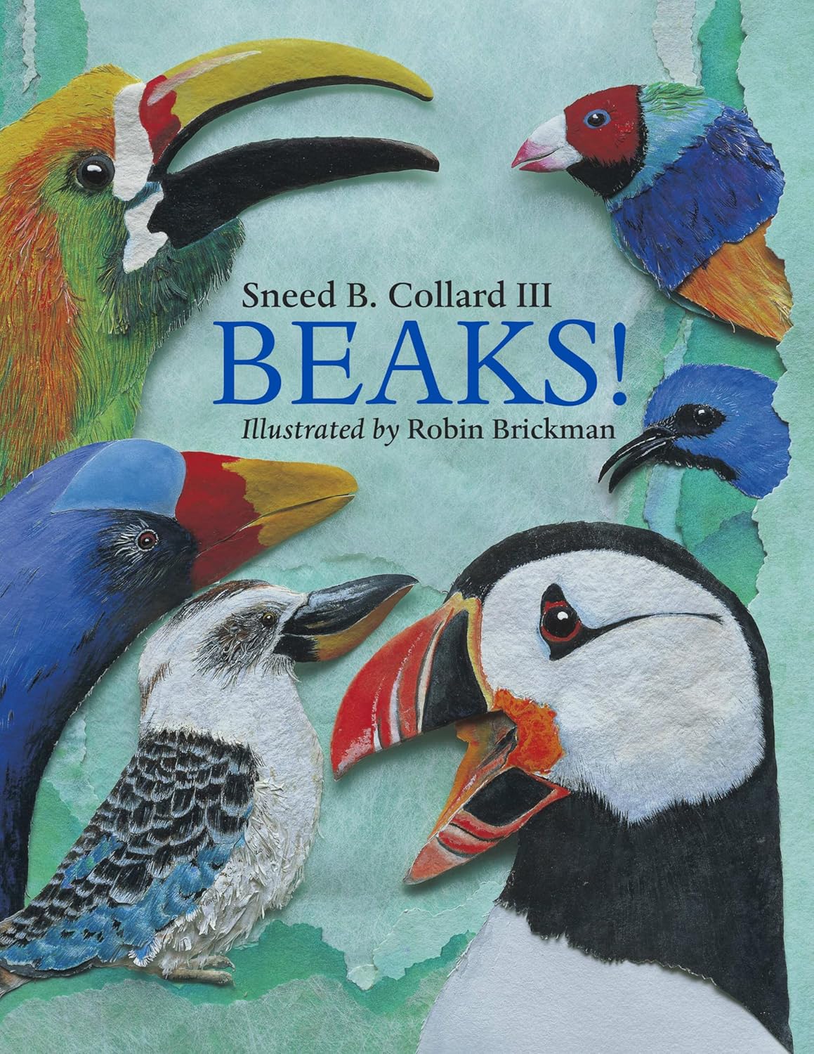 Beaks!: Collard III, Sneed B., Brickman, Robin: 9781570913884: Amazon ...