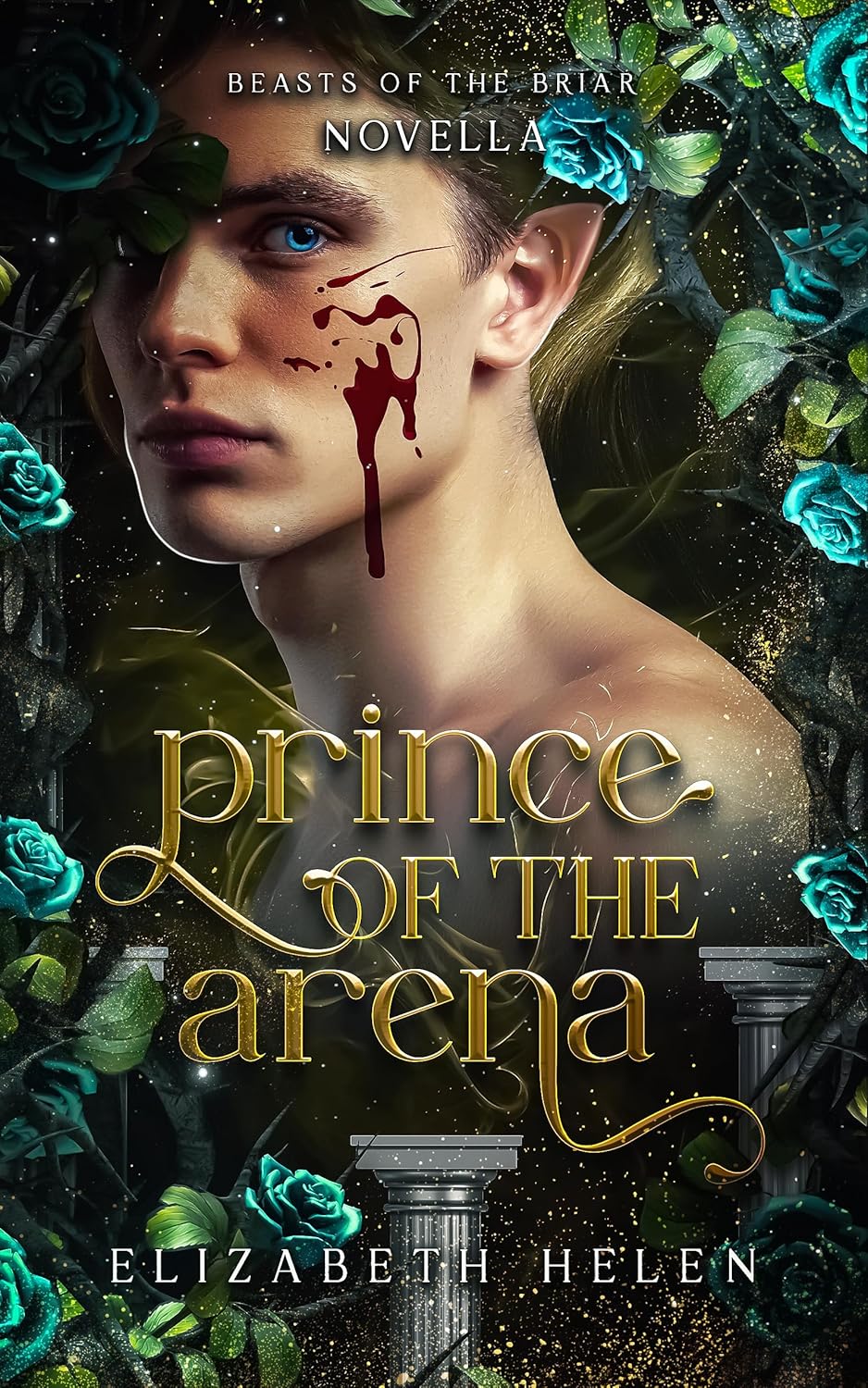 Prince of the Arena: A Beasts of the Briar Prequel Novella eBook ...