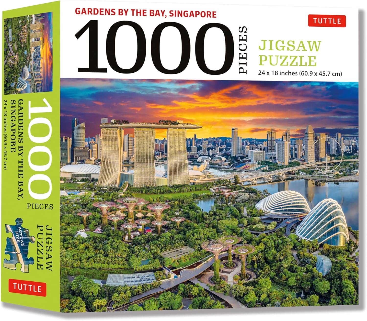 Singapore's Gardens by the Bay - 1000 Piece Jigsaw Puzzle : Amazon.sg: Toys