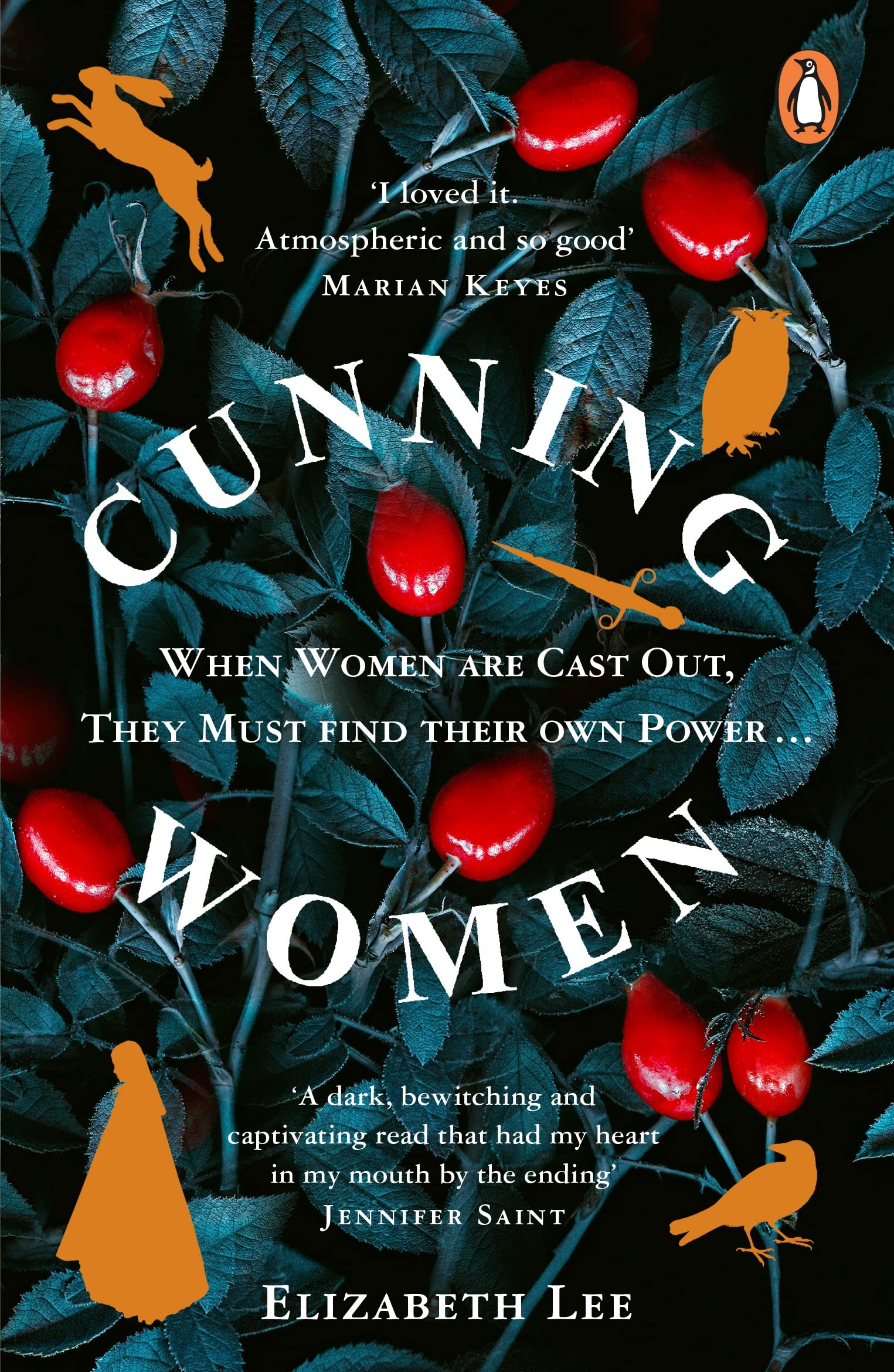 Cunning Women: A feminist tale of forbidden love after the witch trials ...