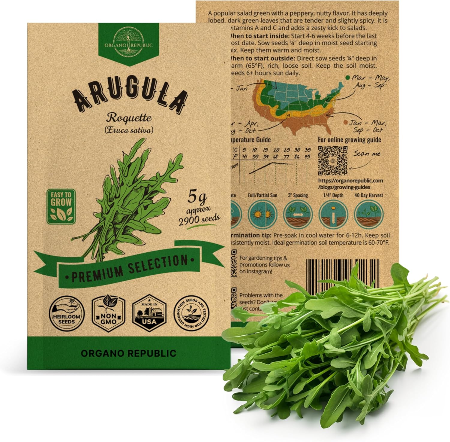 Amazon.com : Arugula Roquette Seeds Pack 5G - Over 2900 Non-GMO ...