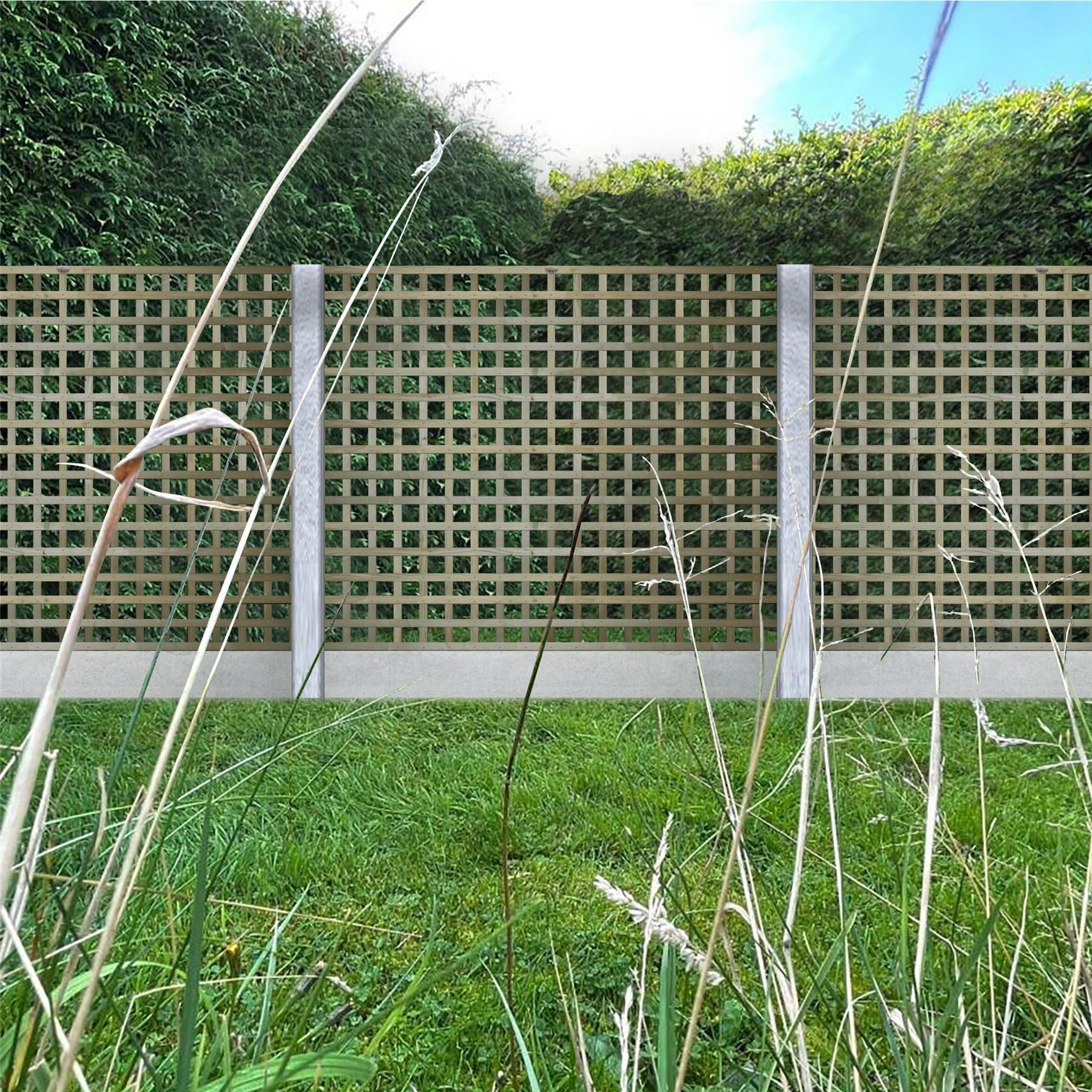 Tall Garden Privacy Trellis Extending Your Garden Fence Height