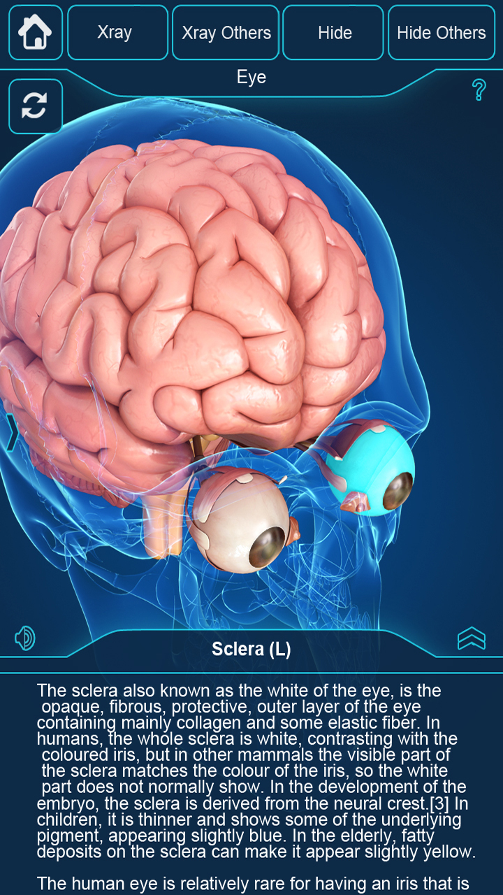 My Eye Anatomy - App on the Amazon Appstore