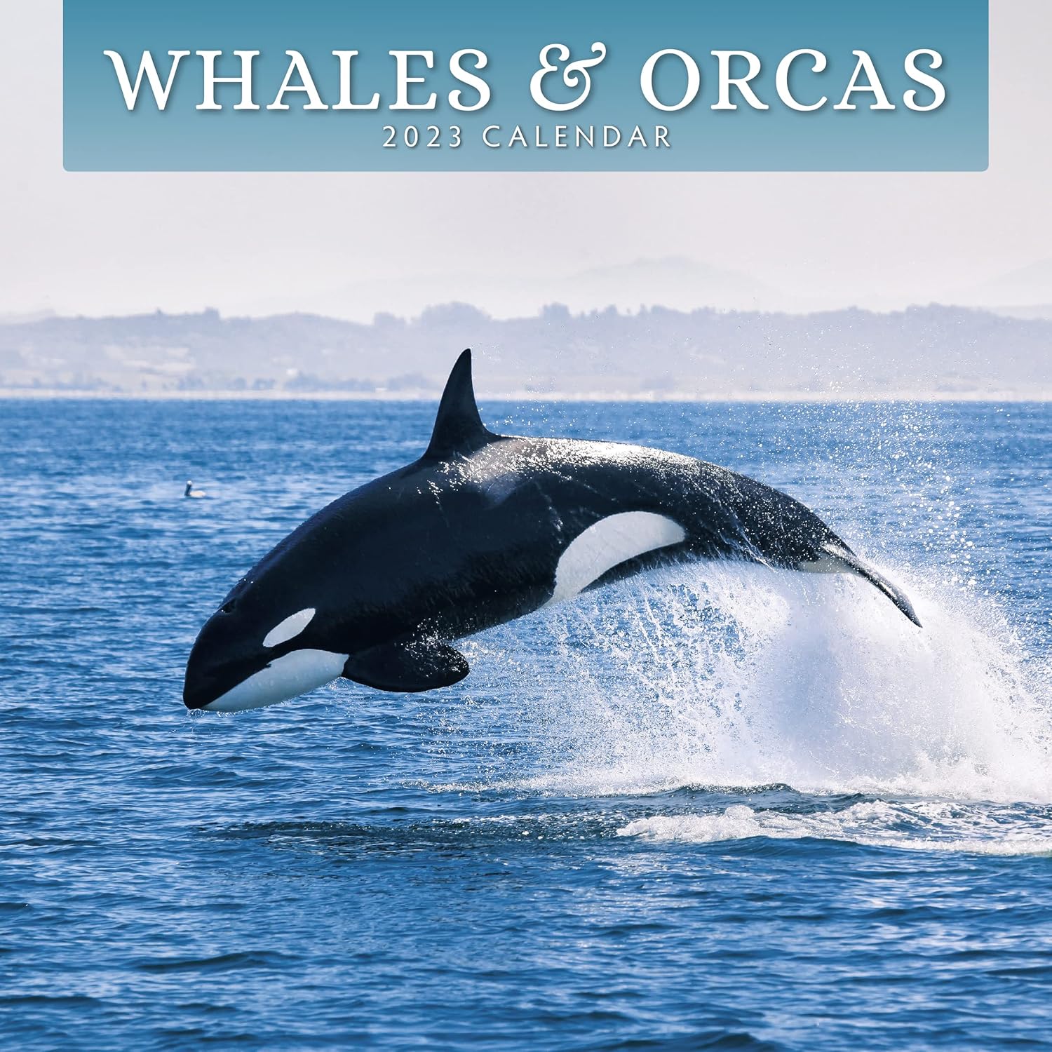 2023 Whales Monthly Wall Calendar by Red Robin Calendars 12" x 12 ...