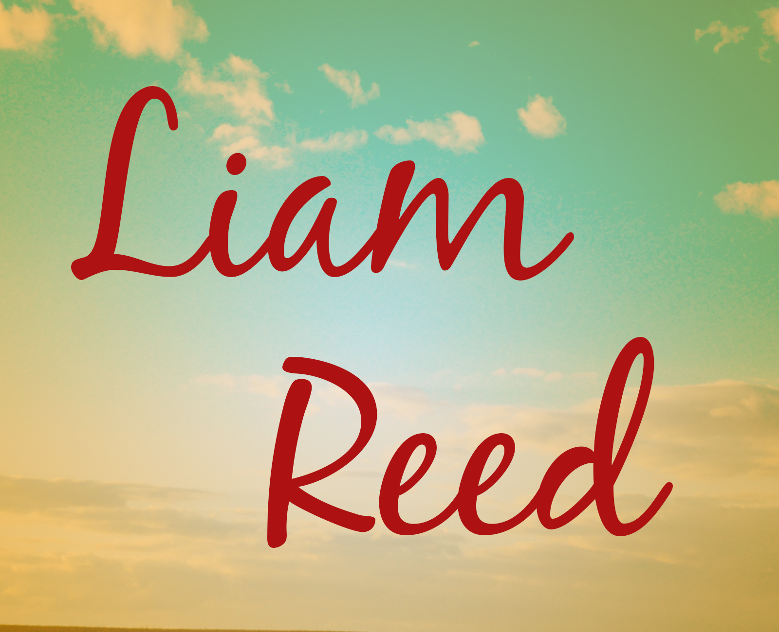 Amazon.com: Liam Reed: books, biography, latest update