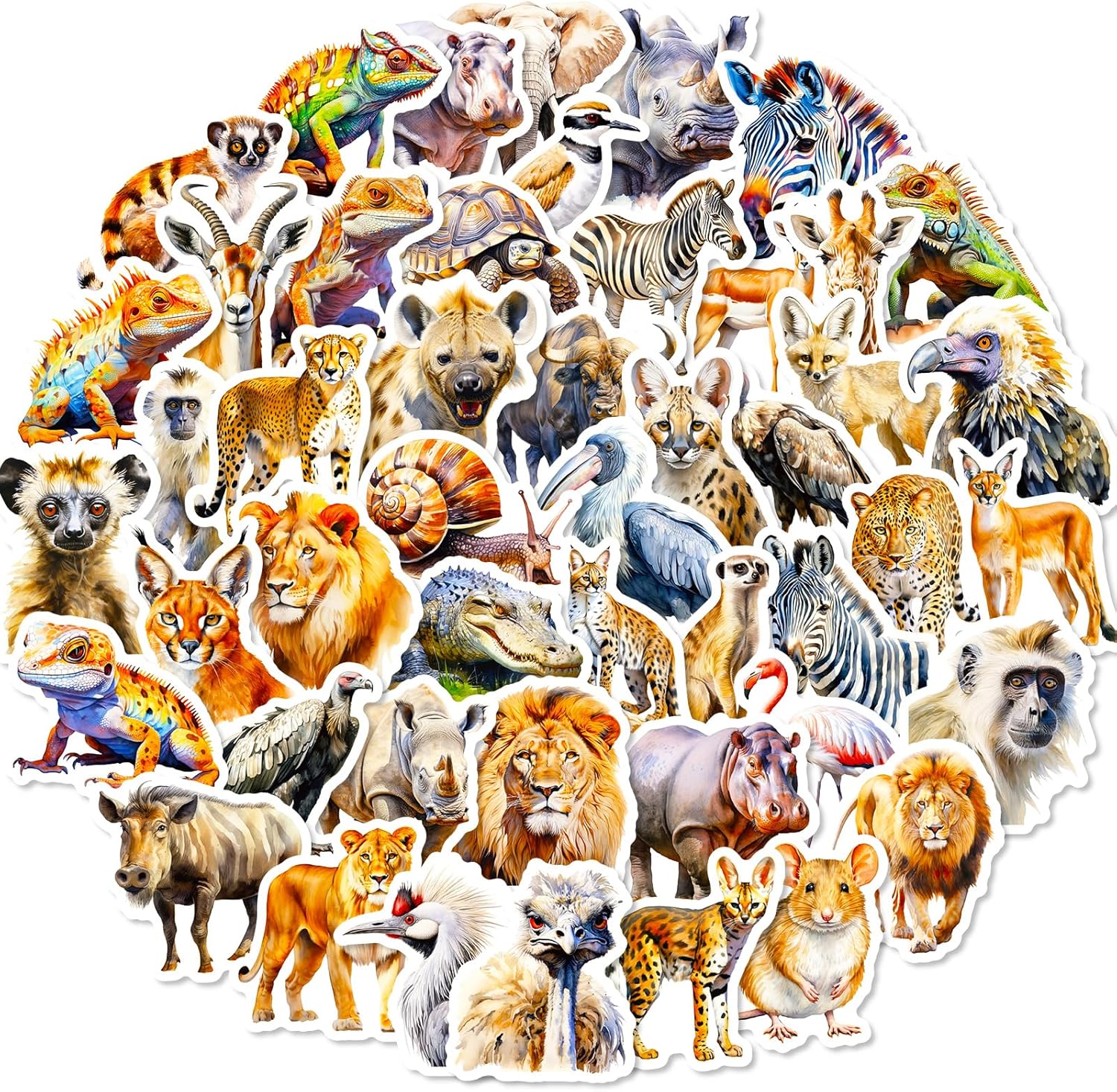 Amazon.com: 50 Pcs African Safari Animal Stickers Colourful Animal ...