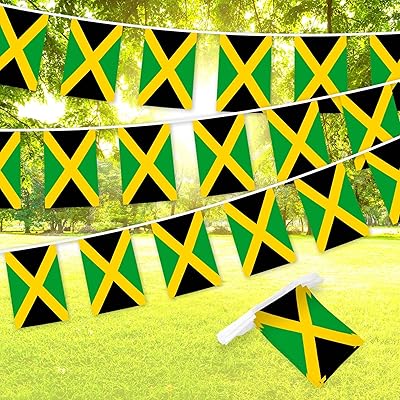 Amazon.com : LoveVC 100 Feet Blue Yellow White Pennant Banner Flags ...