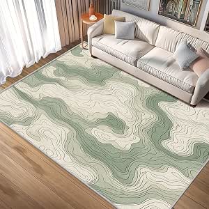 Amazon.com: Topographic Rugs for Living Room 6x9, Contour Map Abstract ...