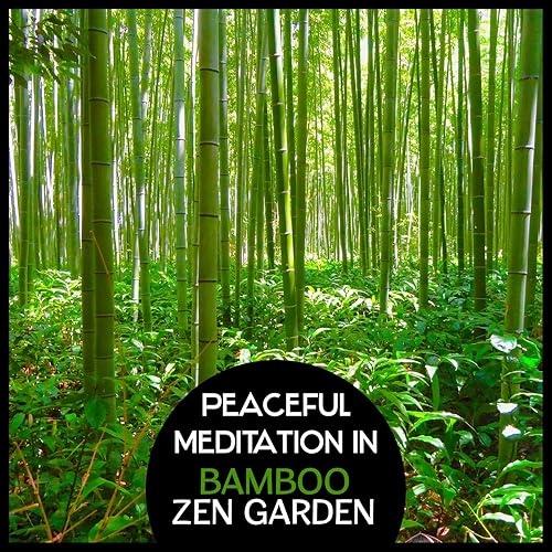 Peaceful Meditation in Bamboo Zen Garden: Traditional Japanese Flute ...