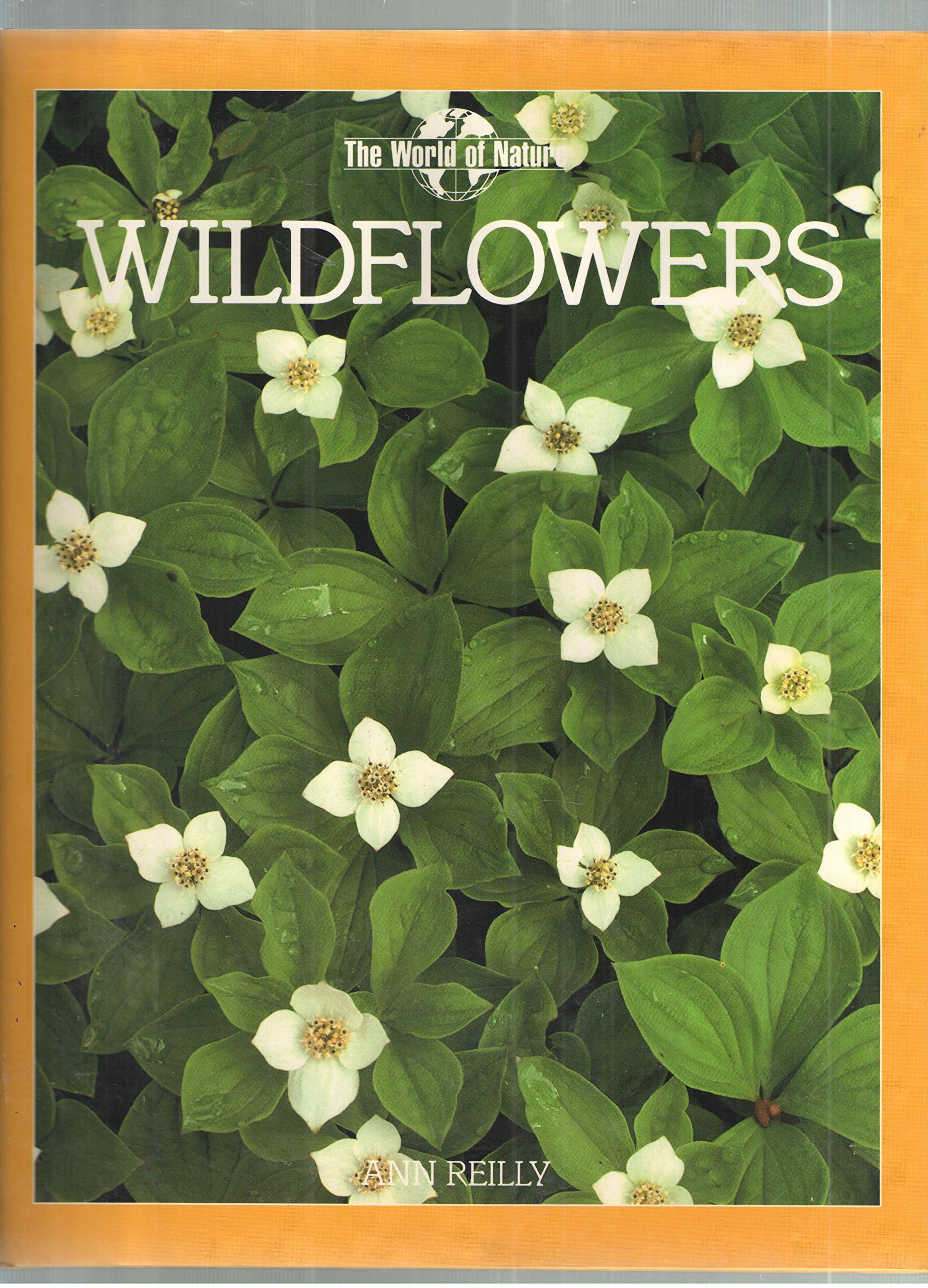 Wildflowers (World of Nature): Reilly, Ann: 9780831795801: Amazon.com ...