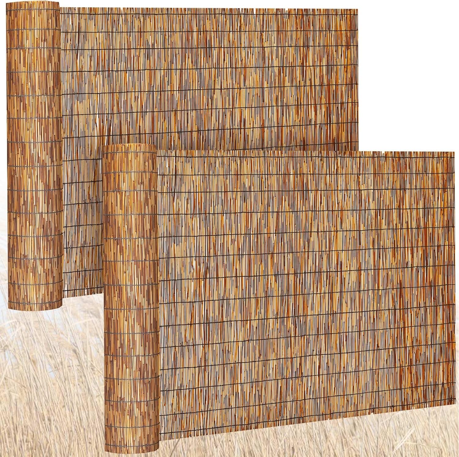 Amazon.com : Barydat 2 Pcs 6 x 16.4 ft Bamboo Privacy Screen, Reed ...