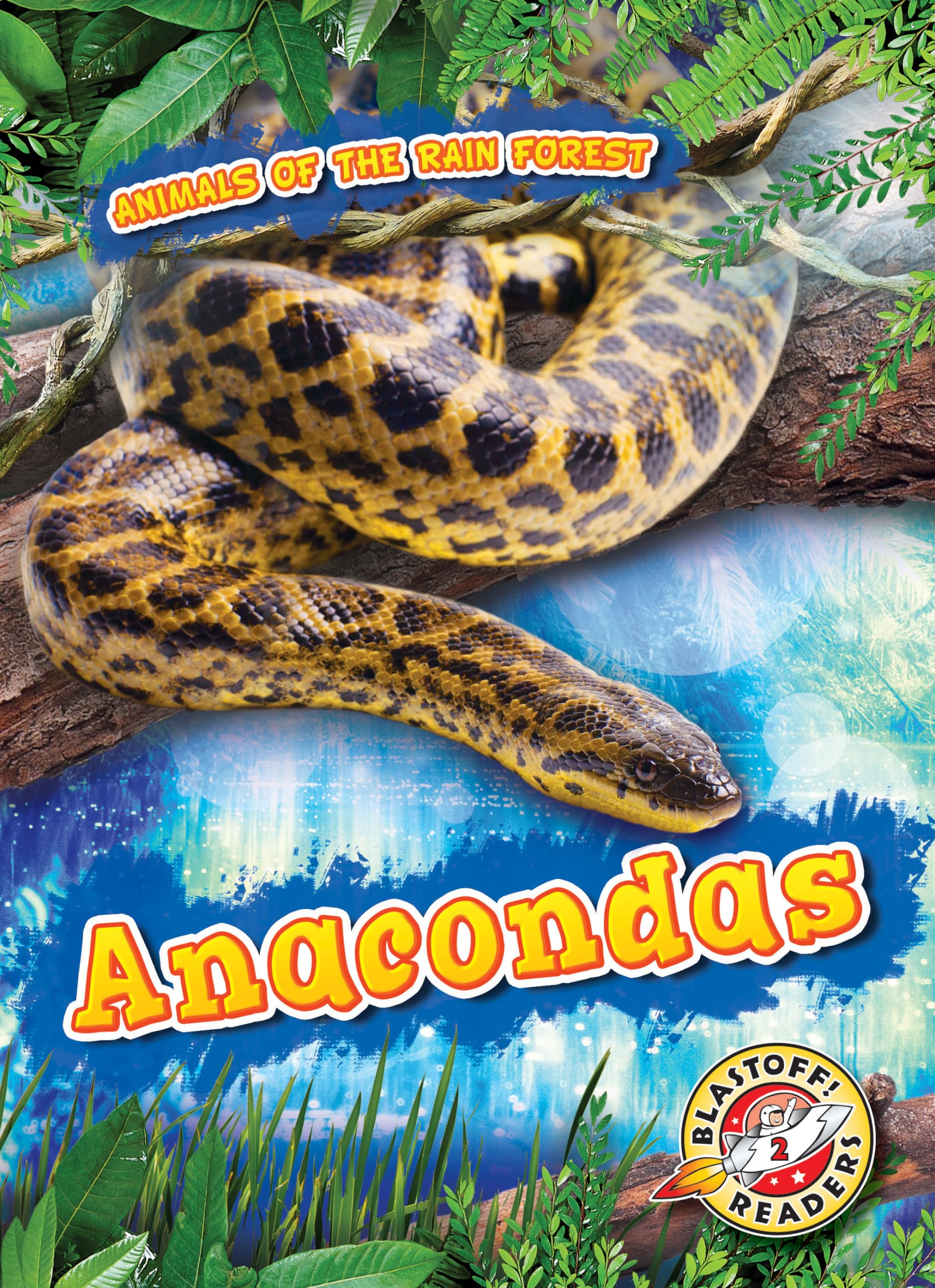 Anacondas (Animals of the Rain Forest): Rachel Grack: 9781626179479 ...