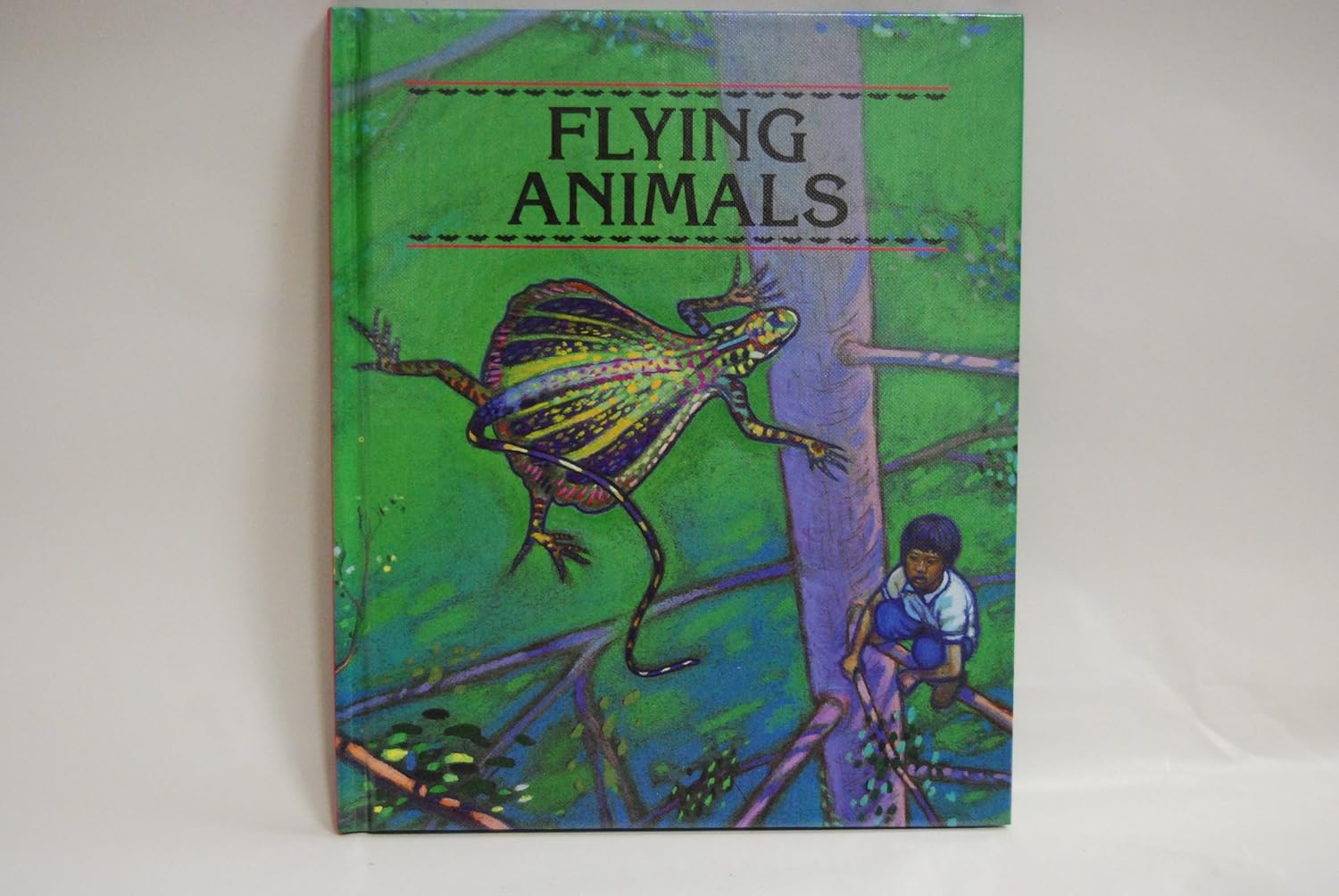 Flying Animals (Wings): Lantier-Sampon, Patricia, Meyer, Jeff ...