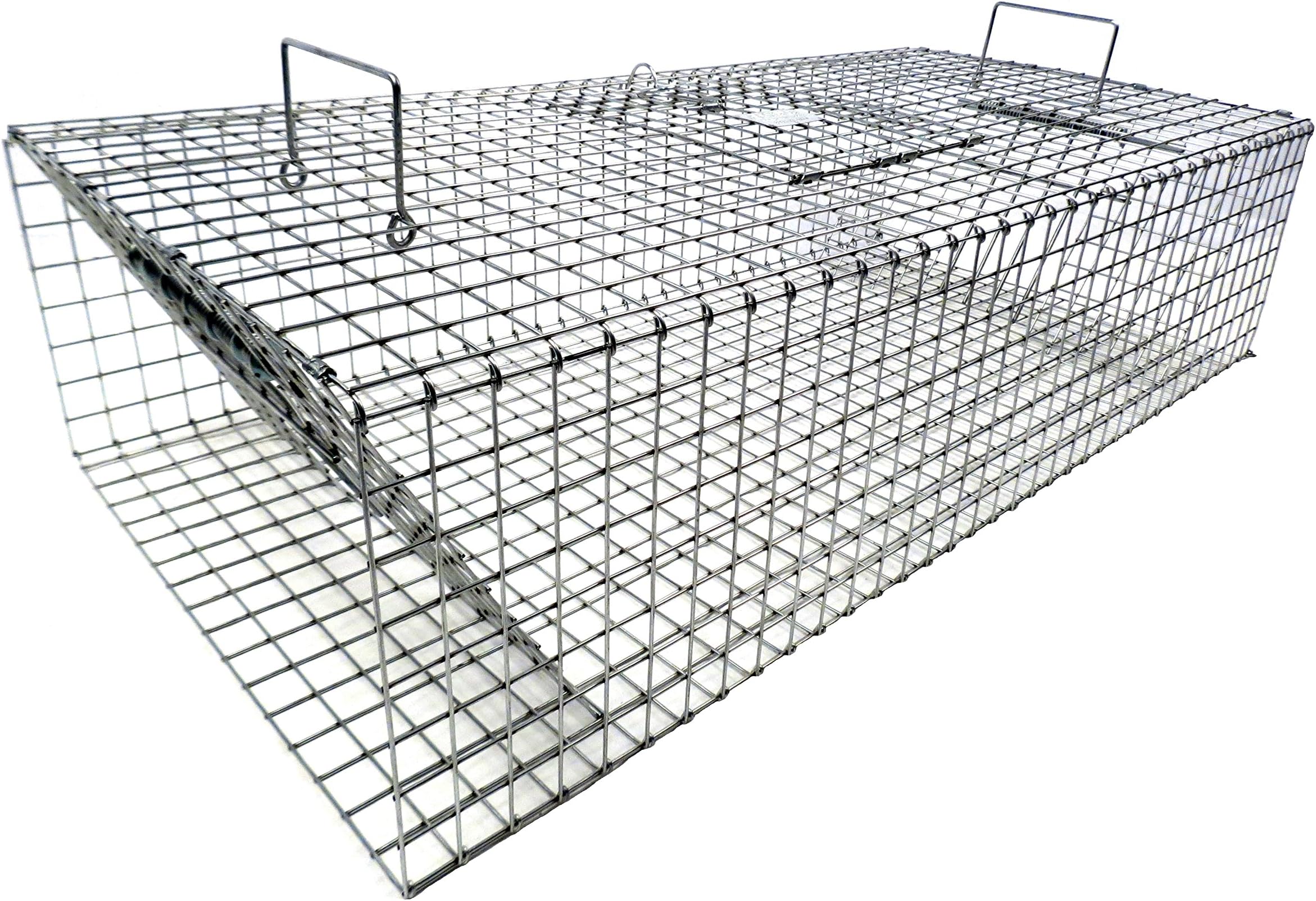 Amazon.com : Multi Catch Sparrow Trap by Wildlife Control Supplies ...