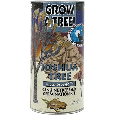 Amazon.com : Joshua Tree | Seed Grow Kit | The Jonsteen Company : Patio ...