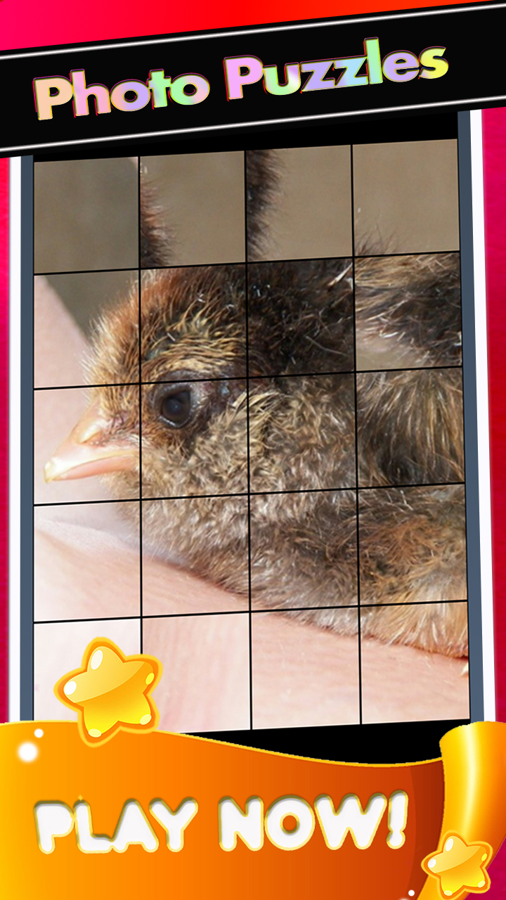 Cute Chick Pictures-Baby Chickens Puzzle Game - App on Amazon Appstore