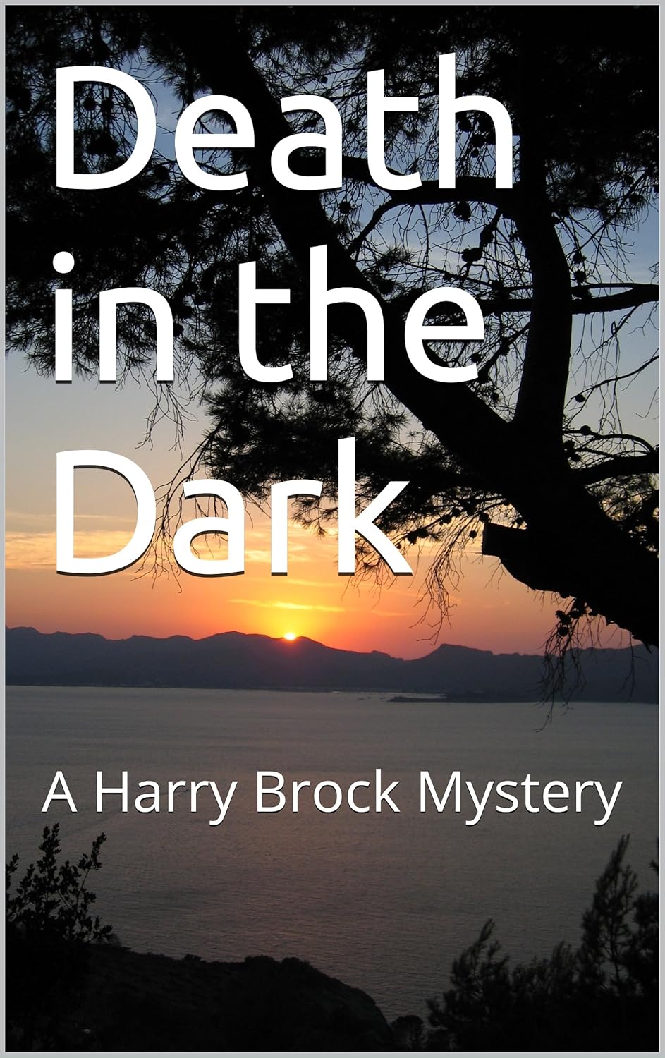 Death in the Dark: A Harry Brock Mystery (Harry Brock Mysteries Book 11) - Kindle edition by ...